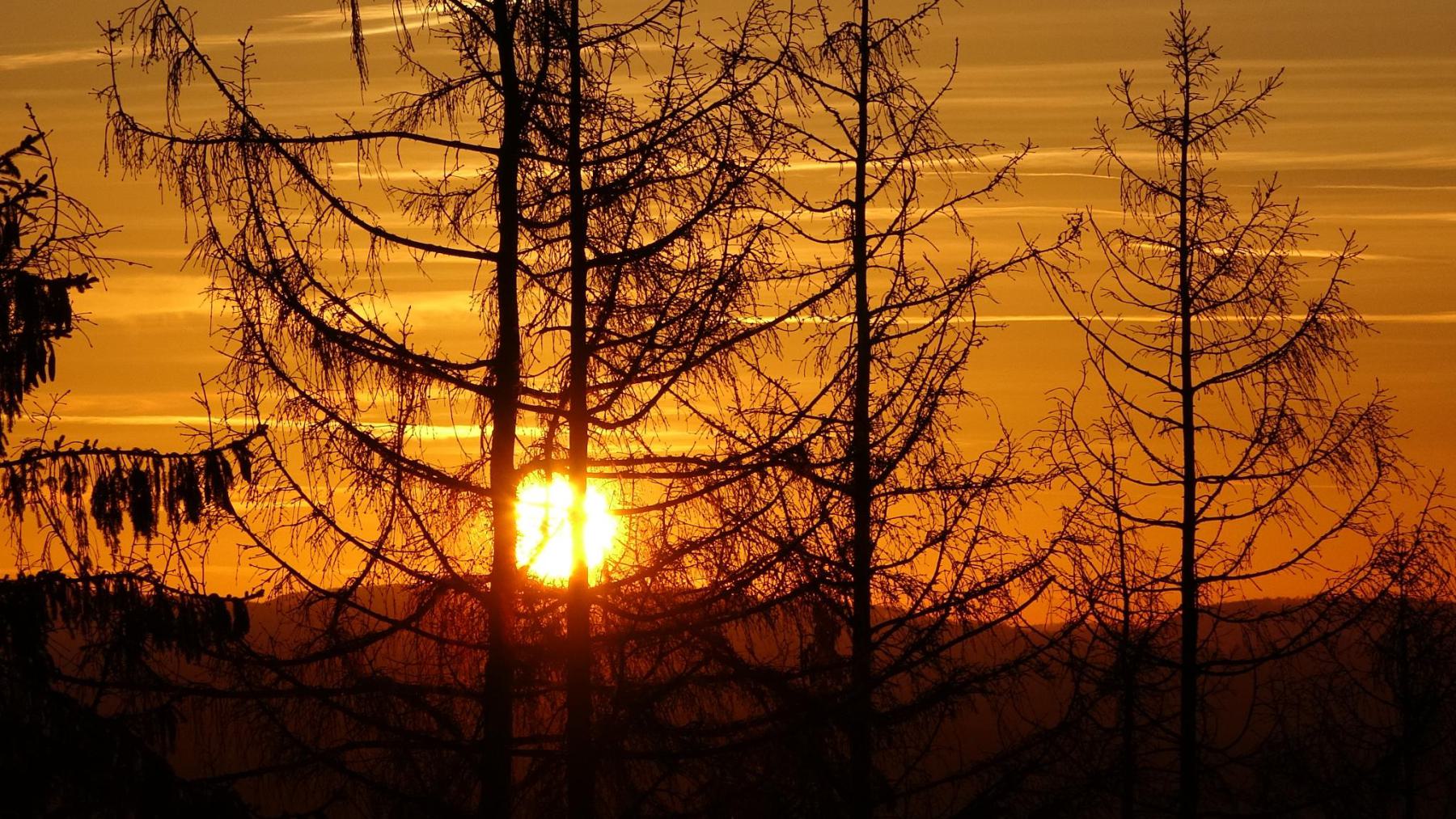 Der Belvedereturm im Deister von oben - Unterwegs mit Sprödi